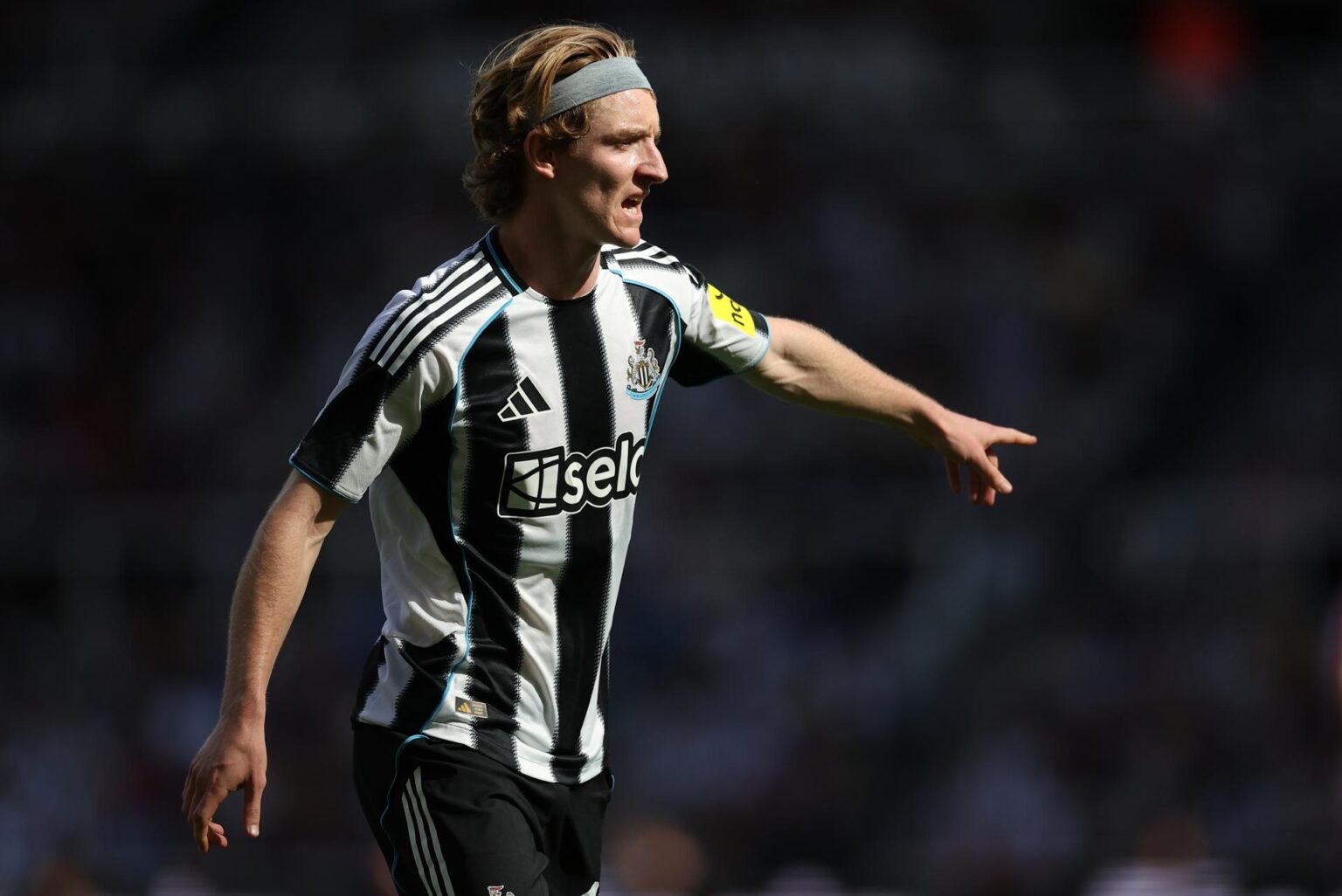 El Barcelona ficha al delantero inglés Anthony Gordon (Newcastle ...