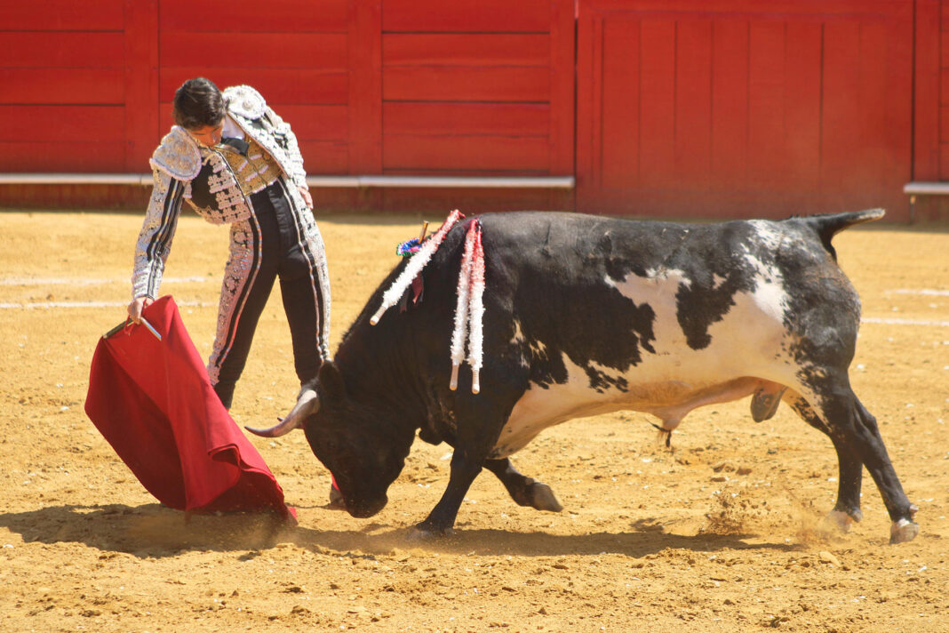 El francés Sebastián Castella corta una oreja en Cinco Villas, en el ...